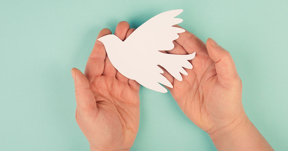 SÍ a la vida, SÍ al perdón, SÍ a la paz - Arquidiócesis de Cali